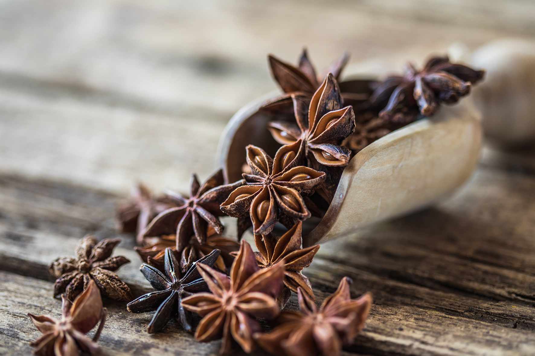 L’anis étoilé, épice de fin d’année - dietplus Belgique